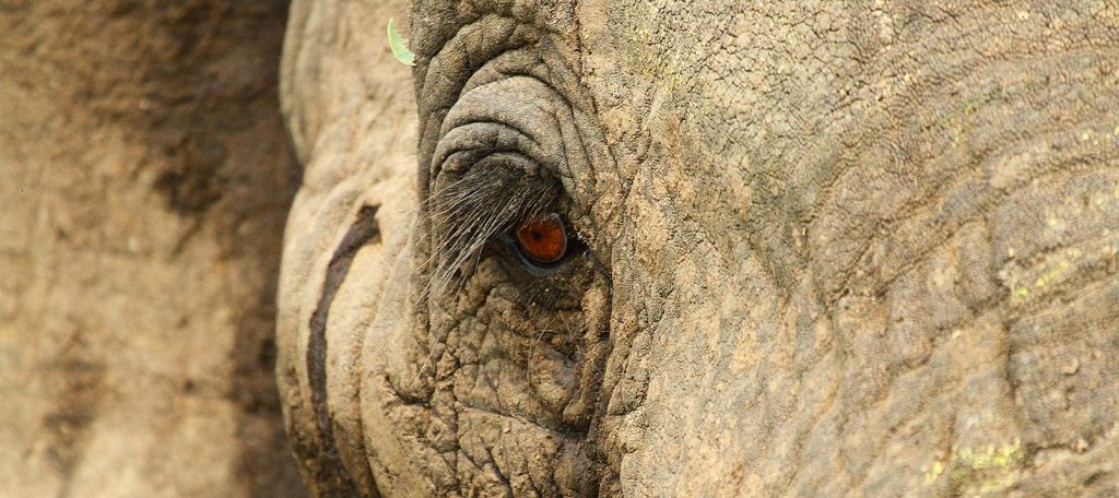 Contact Us - Nature Guide Training