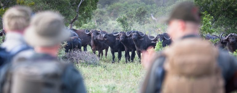 Apprentice Trails Guide Courses - Nature Guide Training